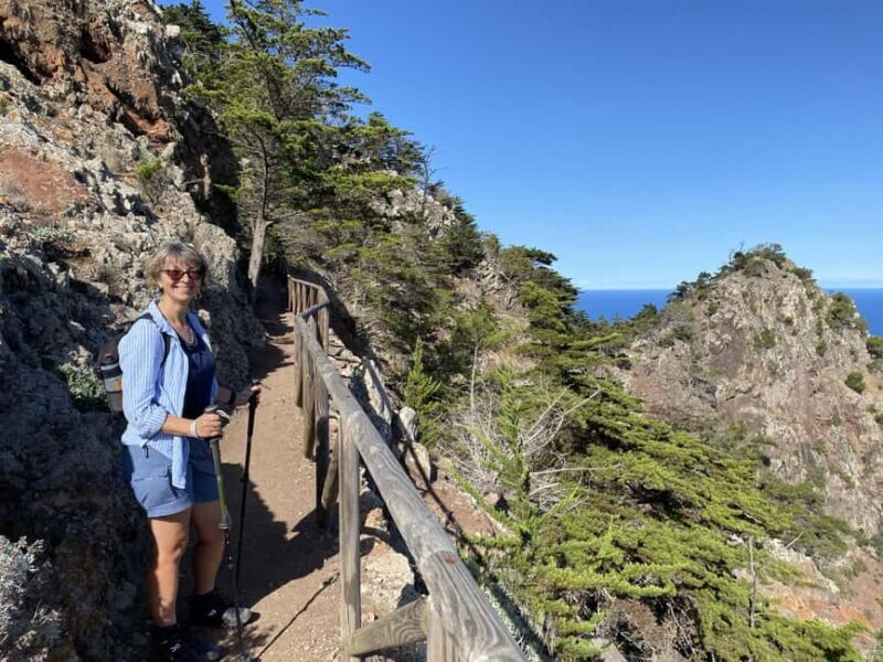 Porto Santo: Pico Branco and Terra Cha Guided Mountain Hike - The Itinerary: What You Can Expect