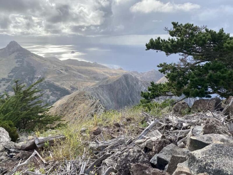 Porto Santo: Pico Branco and Terra Cha Guided Mountain Hike - Practical Details and Value