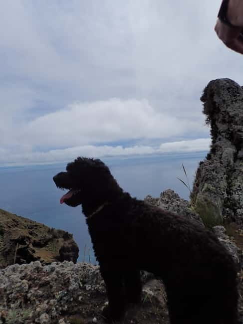 Porto Santo: Terra Chã and Pico Branco Hiking tour - Key Points