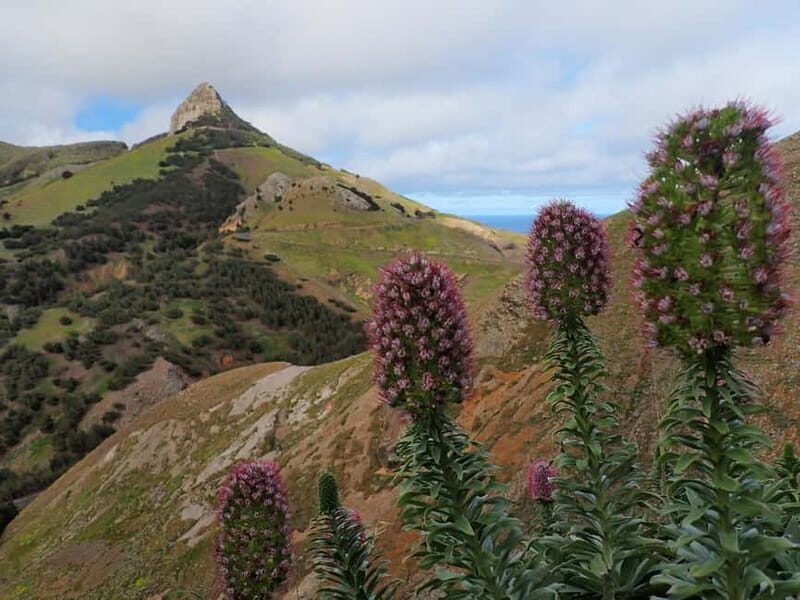 Porto Santo: Terra Chã and Pico Branco Hiking tour - Introduction to the Porto Santo Hiking Tour