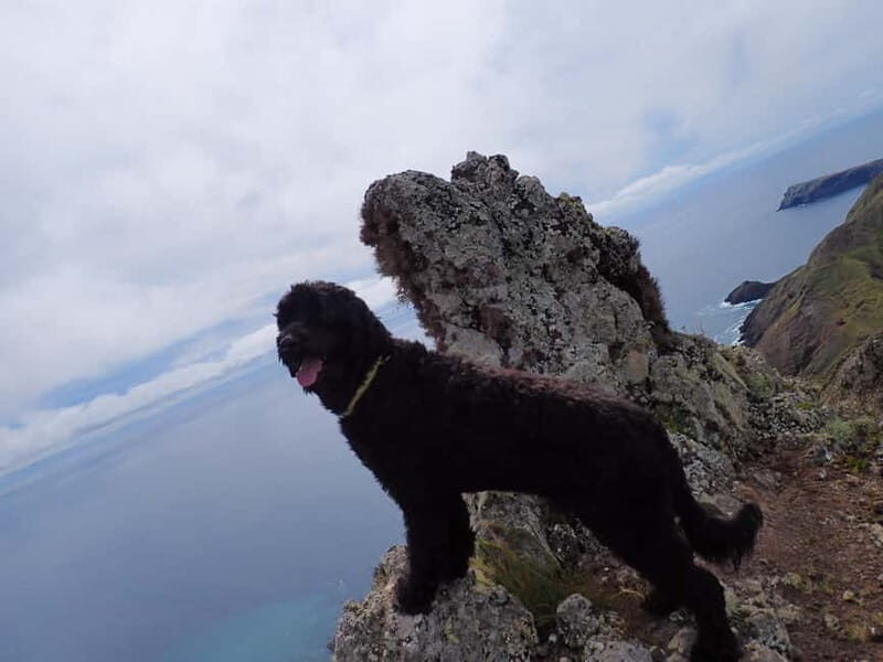 Porto Santo: Terra Chã and Pico Branco Hiking tour - Detailed Breakdown of the Itinerary