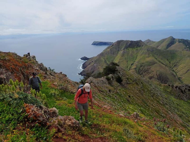 Porto Santo: Terra Chã and Pico Branco Hiking tour - The Value of the Tour