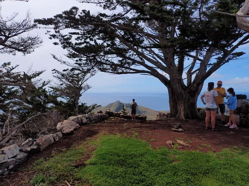 Porto Santo: Terra Chã and Pico Branco Hiking tour - Who Will Love This Tour?