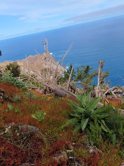Porto Santo: Terra Chã and Pico Branco Hiking tour - The Sum Up