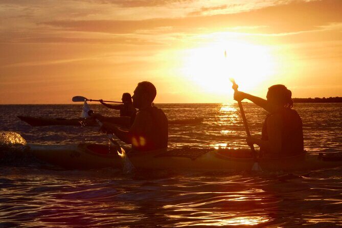 Porto Selvaggio kayak tour + cliff diving + cold spring immersion - Key Points