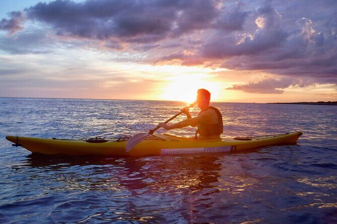 Porto Selvaggio kayak tour + cliff diving + cold spring immersion - The Itinerary: What to Expect on Your Paddle