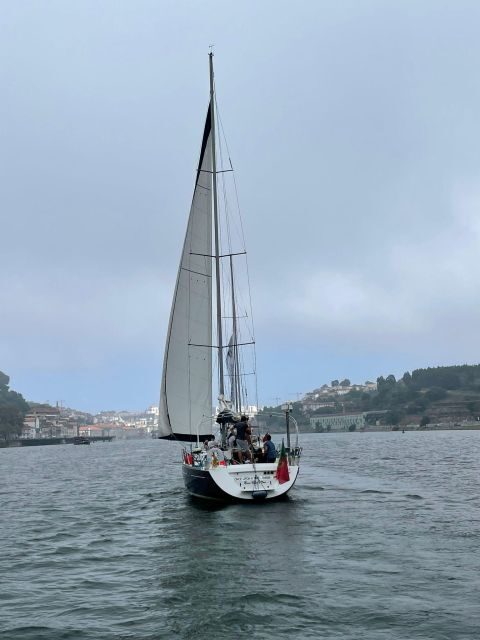 Porto: The Best Douro Boat Tour - An Honest Look at the Douro Boat Tour in Porto
