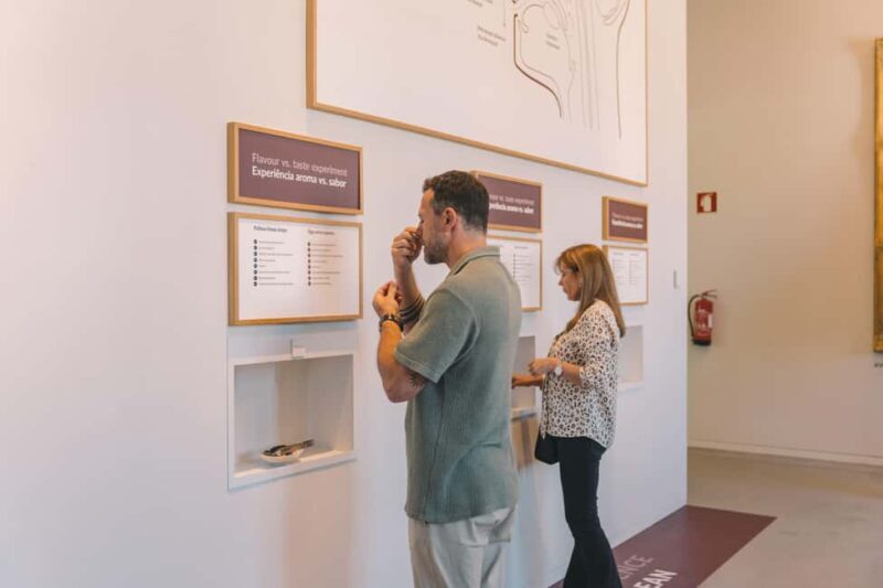 Porto: The Wine Experience, Best Wine Museum in the World - An In-Depth Look at The Wine Experience