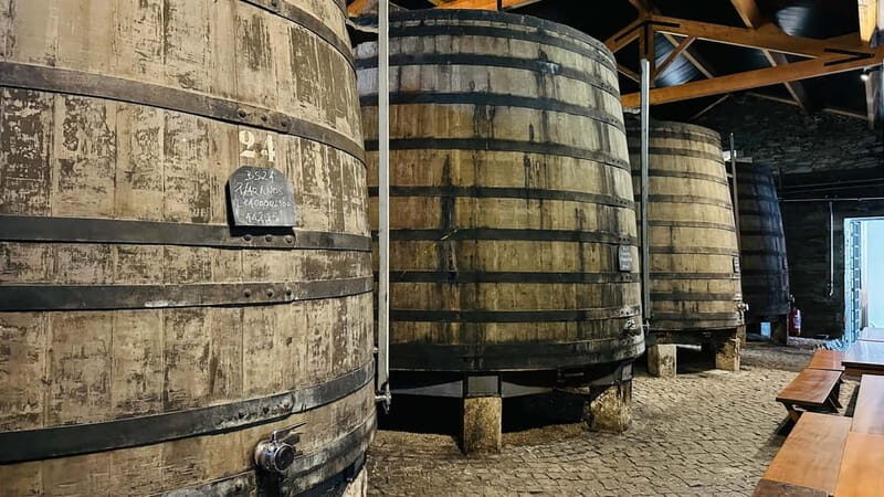 Porto to Gaia Experience: City Walk and Wine Cellars - Final Thoughts: Who Should Opt for This Tour?