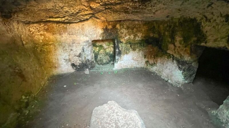 Porto Torres: Monte d'Accoddi & Su Crucifissu Mannu - The Experience: Pros and Cons