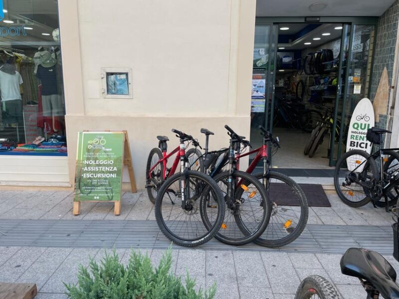 Porto Torres: rent your mountain bike to discover Asinara - Breaking down the experience: A detailed look