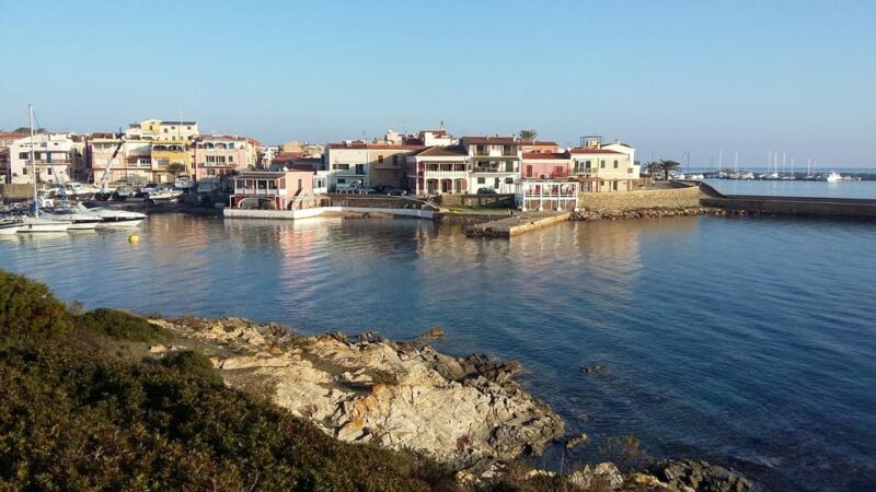 Porto Torres: rent your mountain bike to discover Asinara - Final thoughts: Who should sign up?