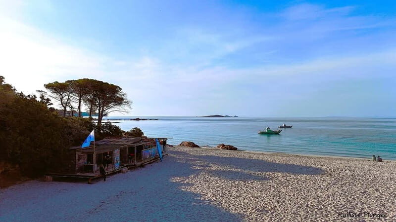 Porto-Vecchio: beginner diving in the Cerbicale Islands in the reserve - What to Expect and What to Bring