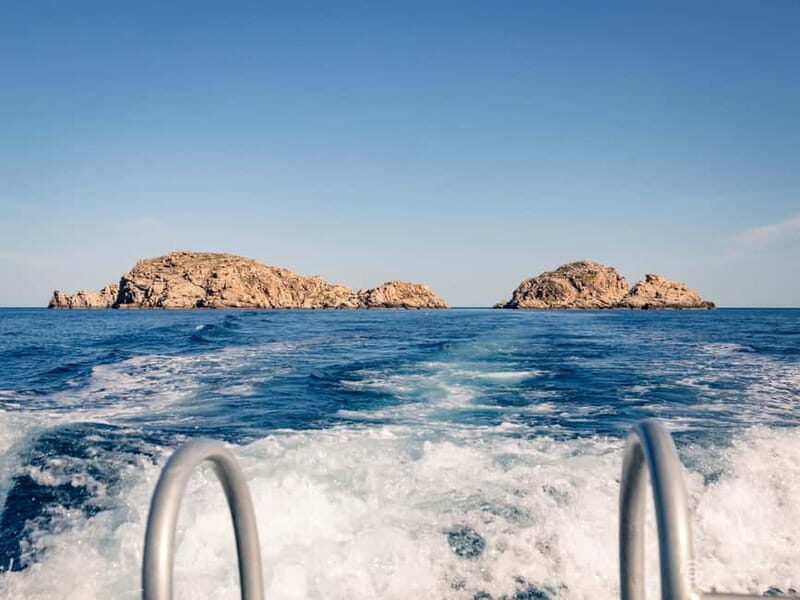 Porto-Vecchio: beginner diving in the Cerbicale Islands in the reserve - The Experience from Reviews