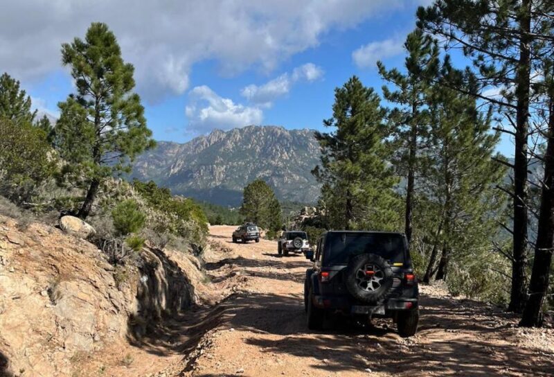 Porto Vecchio: Cuscionu Plateau & Alta Rocca 4x4 Tour - Authentic Experiences Enhanced by Guides