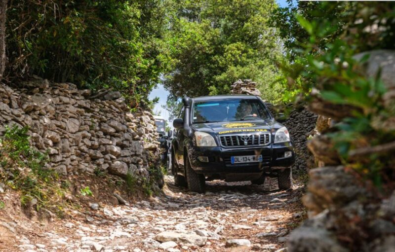 Porto Vecchio: Cuscionu Plateau & Alta Rocca 4x4 Tour - Who Will Love This Tour?