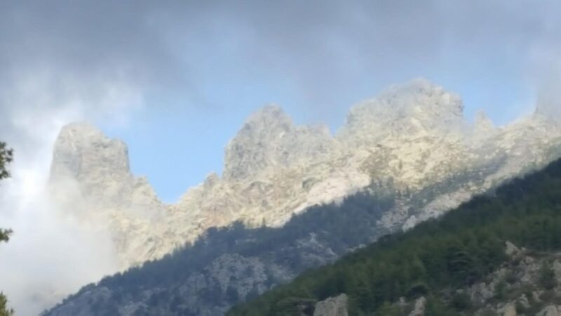 Porto Vecchio: Cuscionu Plateau & Alta Rocca 4x4 Tour - Final Thoughts