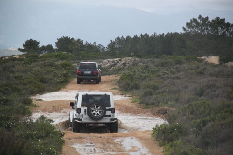 Porto Vecchio: Cuscionu Plateau & Alta Rocca 4x4 Tour - FAQ
