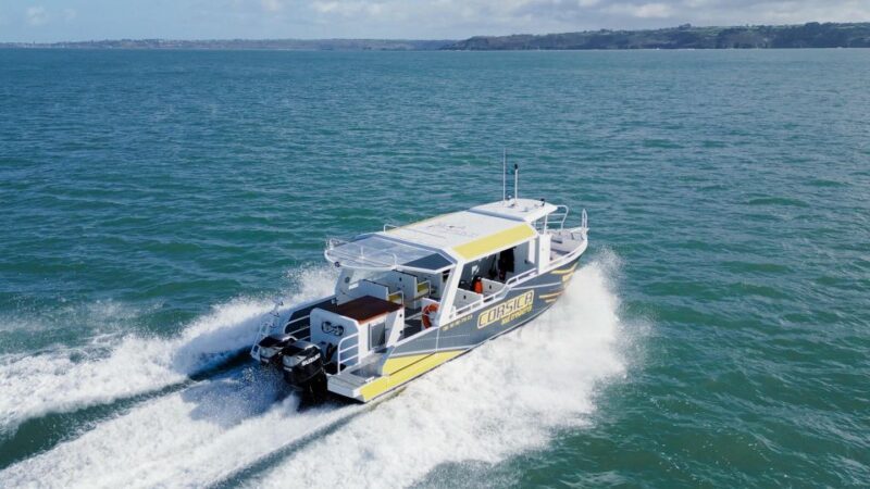 Porto Vecchio : Relaxing Boat Day Trip with Onboard Lunch - Who Should Consider This Tour?