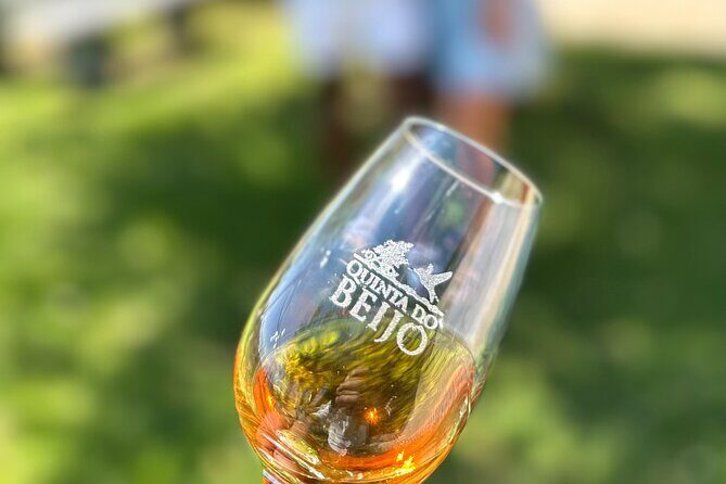 Porto Wine Tasting with GUIDED TOUR - A Closer Look at the Porto Wine Tasting Tour