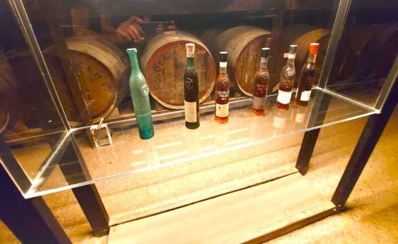 Porto: Wine Tastings (Green Wine) & Tradicional Lunch - An Authentic Dive into Porto’s Green Wine Region
