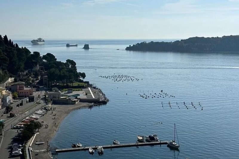Portofino: Gems of Monterosso and Rapallo Private Boat Tour - Who Is This Tour Best For?