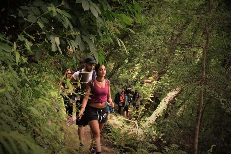 Portofino Park: Hiking Guided Tour to S. Fruttuoso - Why This Tour Works Well
