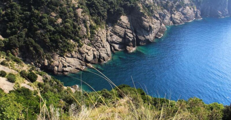 Portofino Park: Hiking Guided Tour to S. Fruttuoso - Who Is This Tour Best For?