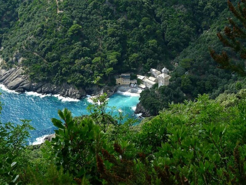Portofino Park Trekking- Discover San Fruttuoso Bay - Key Points: