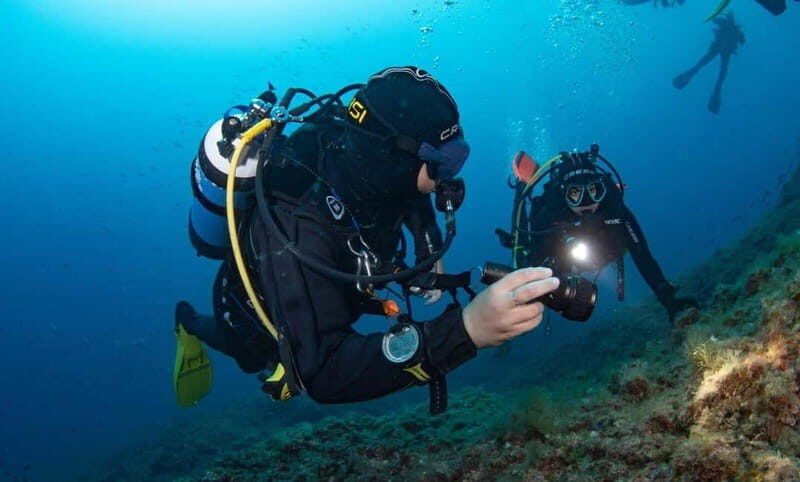 Portofino: scuba diving from Genoa - What to Expect on Your Ligurian Underwater Adventure