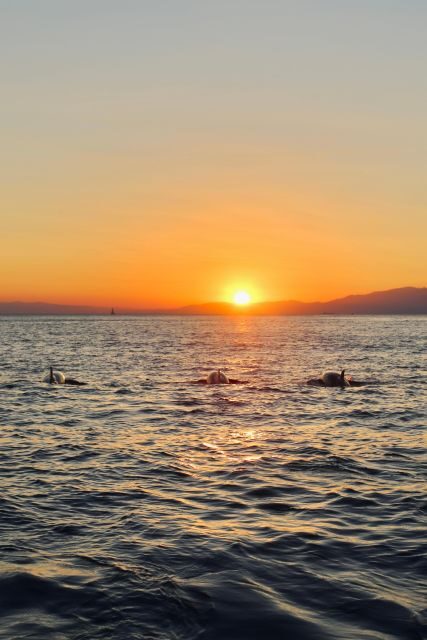 Portofino Sunset cruise with Aperitif - Who Is This Tour Best For?