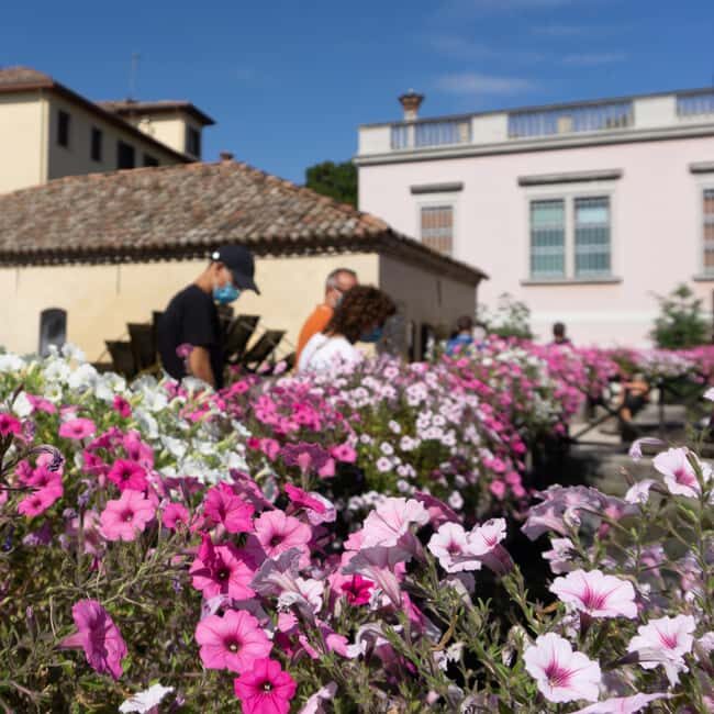 Portogruaro: Eastern Veneto through the Senses Tasting - What Travelers Say
