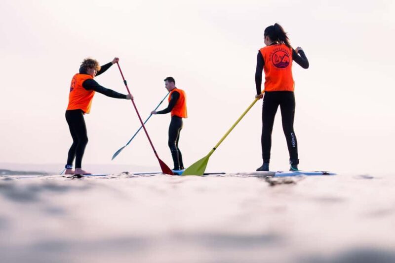 Portrush: Paddleboard Rental - Key Points