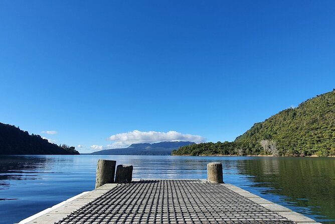 Ports of Tauranga/Rotorua/Tga - 6 Hours Rotorua Highlights Tour - A Deep Dive into the Tour Experience