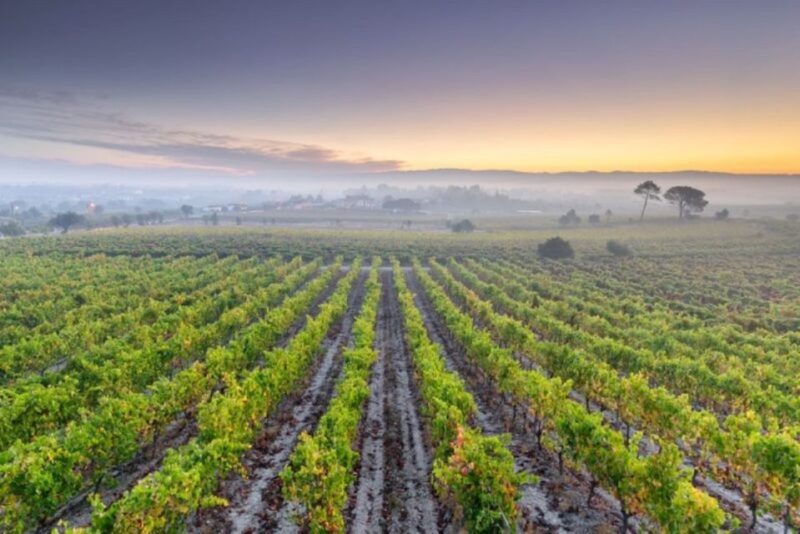 Portugal: Bairrada Private Tour - FAQ