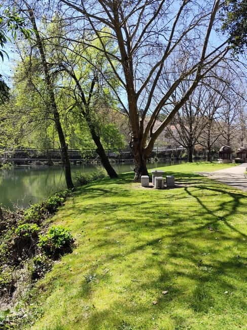 Portugal: Lafões Region Day Tour with Food and Wine Tasting - An Authentic Day in Portugal’s Lafões Region