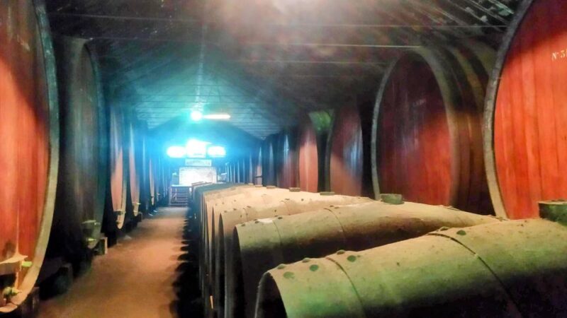 Portuguese Wine History & Amazing Landscape - Palmela Castle: A Window into Portugal’s Moorish Past