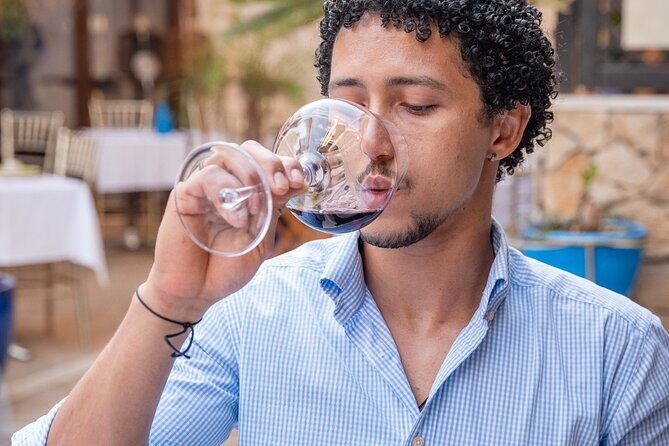 Portuguese Wine Tasting in the heart of Faro - What You Can Expect from the Itinerary