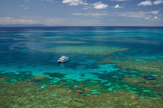 Poseidon Outer Great Barrier Reef Snorkeling and Diving Cruise from Port Douglas - Introduction: Why This Reef Trip Stands Out