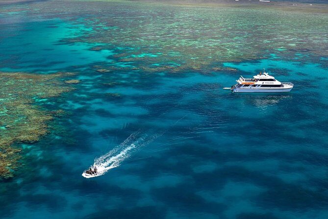 Poseidon Outer Great Barrier Reef Snorkeling and Diving Cruise from Port Douglas - The Practical Side: What You Should Know