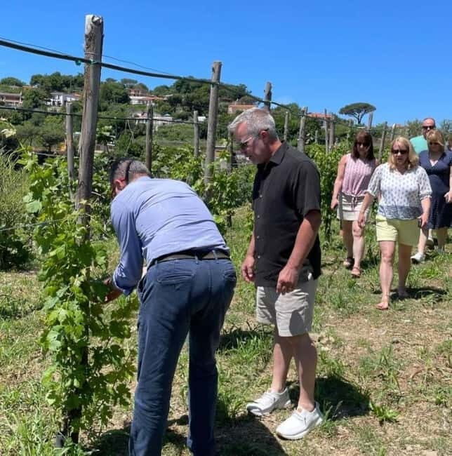 Positano: Cooking class and tasting with a view of the Galli Islands - The Sum Up