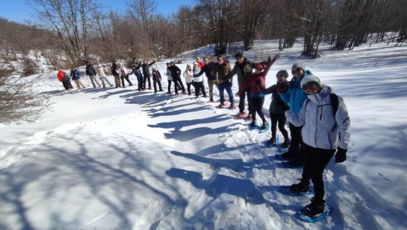 Potenza: Guided Mountain Walking Tour with Snowshoes - Key Points