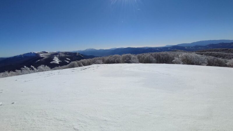 Potenza: Guided Mountain Walking Tour with Snowshoes - Exploring the Tour: An In-Depth Look