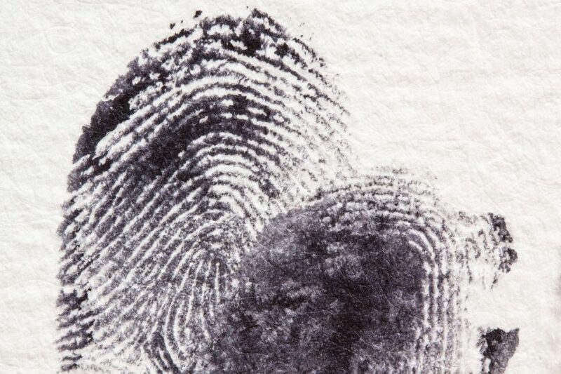 Potsdam: Jägervorstadt Outdoor Crime Mystery Tour - Final Thoughts