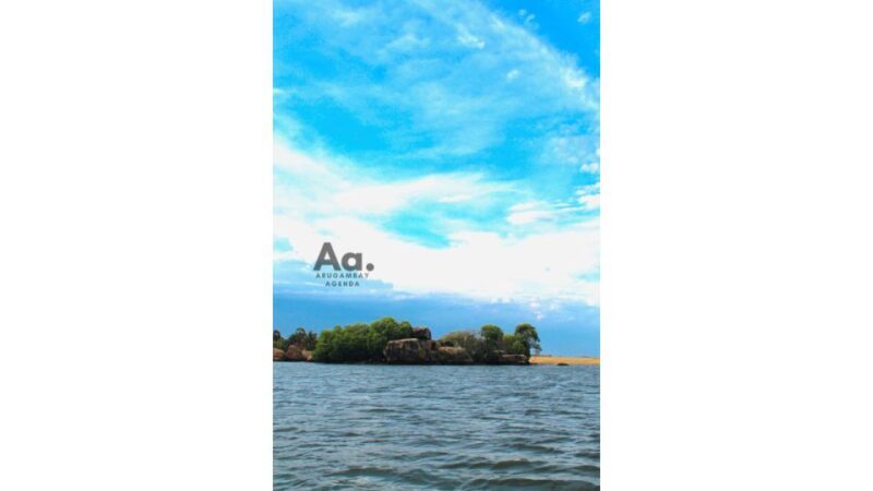 Pottuvil Lagoon Eco Tour : Mangrove Adventure in Arugam Bay - Final Thoughts: Who Is This Tour For?