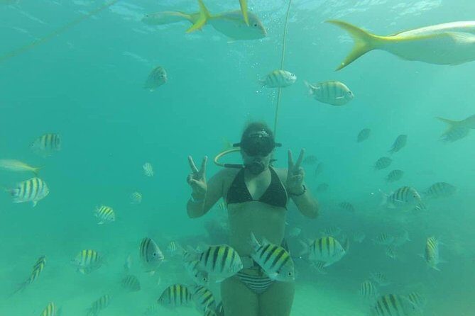 Power Shore Adventure Power Fly - What Is Power Shore Adventure Power Fly?