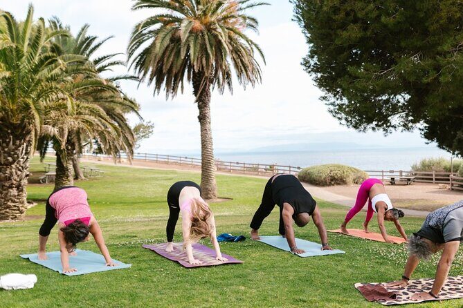Power Up Your Girls Trip with Savannah Mobile Yoga Class - An Inviting Option for Your Savannah Girls Trip