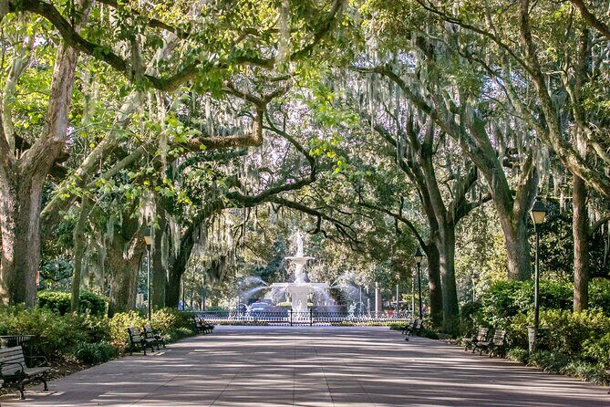 Power Up Your Girls Trip with Savannah Mobile Yoga Class - The Price and Its Value