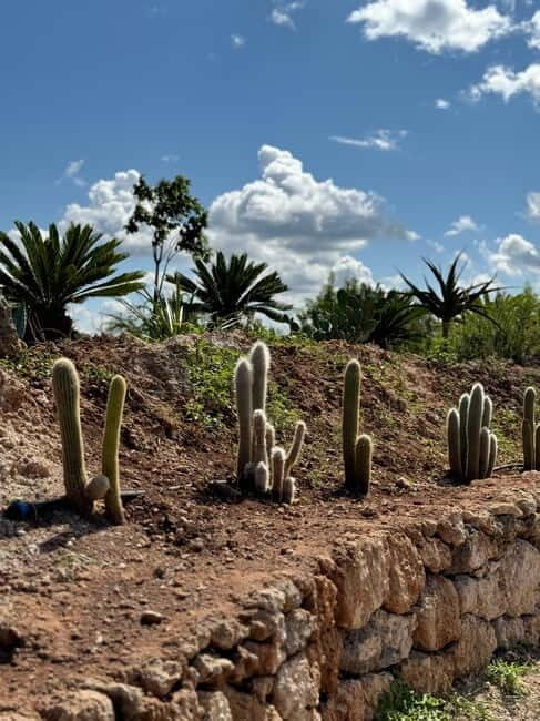 Pozzo Faceto: botanical garden - Value and Who It’s For