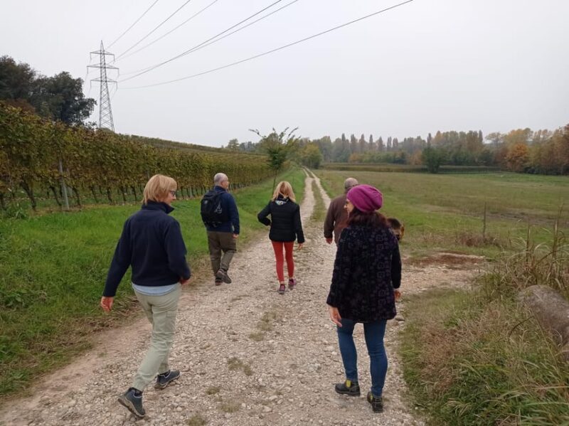 Pozzolengo: Vineyard tour and tasting of typical Garda wines - What Makes This Tour Stand Out?